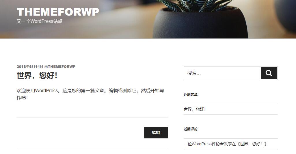 Wordpress建站教程 从零开始服务器搭建网站超详细 Wp主题站